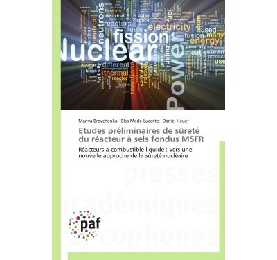 Etudes préliminaires de sûreté du réacteur à sels fondus msfr - broché ...