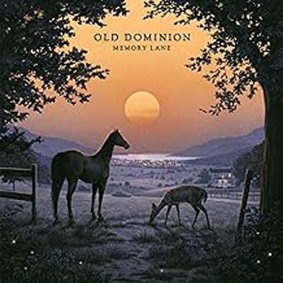 Memory Lane - Old Dominion - CD album - Achat & prix | fnac