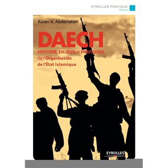 Daech Histoire, enjeux et pratiques de l'Organisation de l'Etat ...