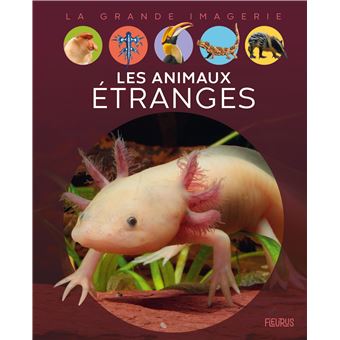 Les animaux étranges - cartonné - Elisabeth Dumont-Le Cornec - Achat ...
