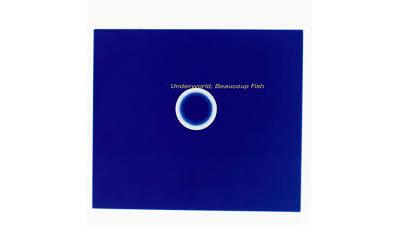 Beaucoup fish - Underworld - CD album - Achat & prix | fnac