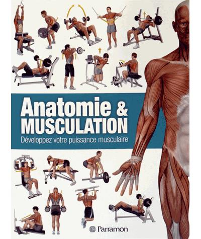 Anatomie et musculation : développez votre puissance musculaire ...