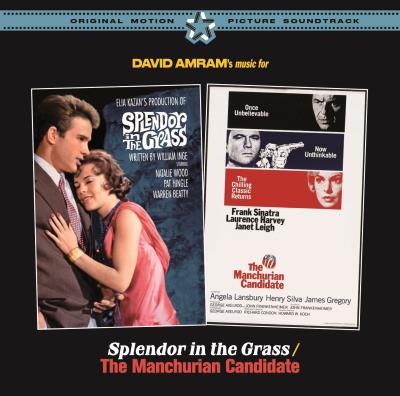 Splendor in the grass - David Amram - CD album - Achat & prix | fnac
