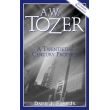 A.W. Tozer: A Twentieth-Century Prophet - ebook (ePub) - David J. Fant ...