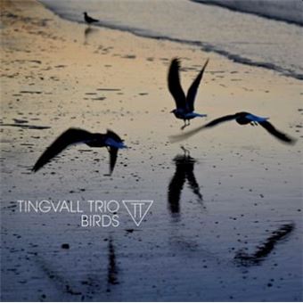 Birds - Tingvall Trio - CD album - Achat & prix | fnac