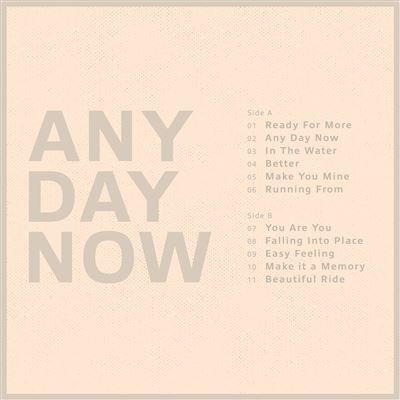 Any Day Now Vinyle Cristal Clair - Krezip - Vinyle album - Achat & prix ...