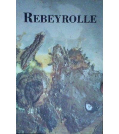 Rebeyrolle peintures 1963-1980 Aix-en-Provence Office départemental de ...