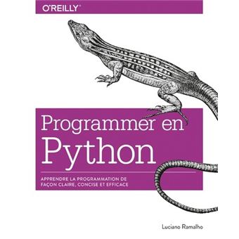 Programmer avec Python - broché - Luciano Ramalho - Achat Livre ou ...
