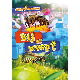 Ontdek de verschillen - Bij of wesp? - Kirsten Chang - cartonné - Achat ...