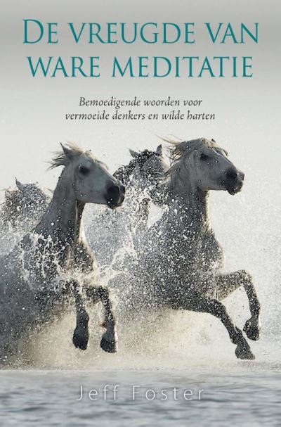 De vreugde van ware meditatie Bemoedigende woorden voor vermoeide ...