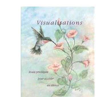 Visualisations - broché - Rachel Guay - Achat Livre | fnac