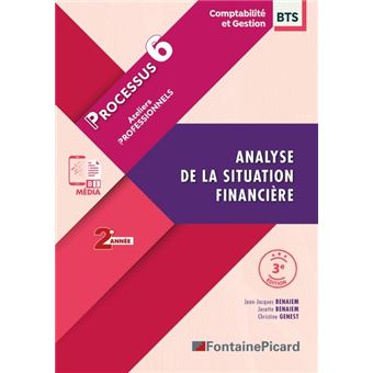 Processus 6, Analyse de la situation financière, BTS2, 2ème année Ateliers professionnels, 3ème ...