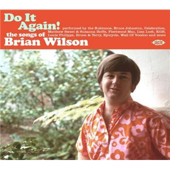 Do It Again ! The Songs Of... - Brian Wilson - CD album - Achat & prix ...
