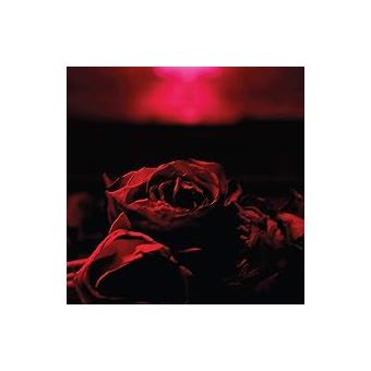 Roses - Paper Kites - CD album - Achat & prix | fnac