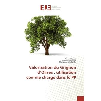 Valorisation du Grignon d'Olives : utilisation comme charge dans le PP ...