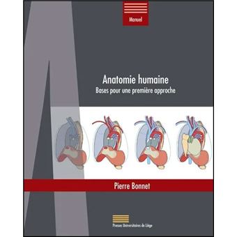 Anatomie humaine : Bases pour une premiere approche - broché - Pierre ...