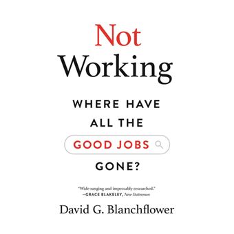 NOT WORKING : WHERE HAVE ALL THE GOOD JOBS GONE ? - Achat Livre ou ...