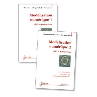Modelisation numerique defis et perspectives traite mim seri - broché ...