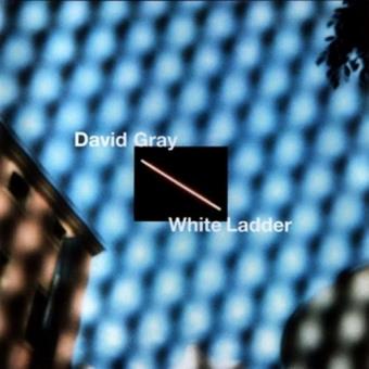 White ladder - David Gray - CD album - Achat & prix | fnac