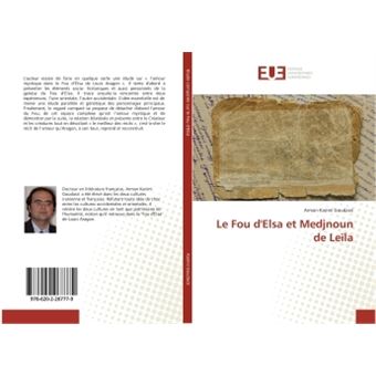 Le Fou d'Elsa et Medjnoun de Leïla - broché - Arman Karimi Goudarzi ...