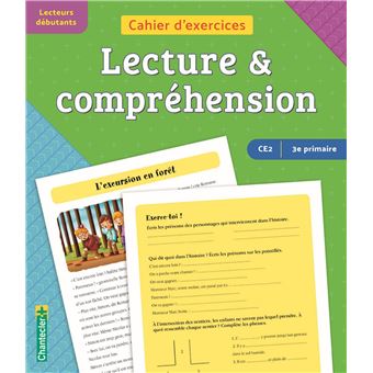 Cahier d'exercices lecture & compréhension (CE2 -3e primaire) (vert ...