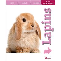 Lapin - Tous les livres sur les animaux - Livre, BD | fnac