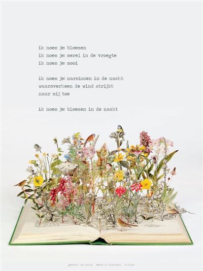 Set poëziekaarten Plint 'Ik noem je bloemen' Jan Hanlo 1 - Hanlo Jan ...