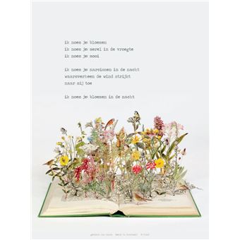 Set poëziekaarten Plint 'Ik noem je bloemen' Jan Hanlo 1 - Hanlo Jan ...