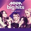 MNM Big Hits Best Of 2023 - Various Artists - Cd-album | Kerstcadeau ...