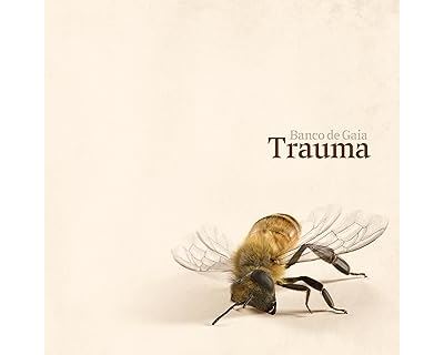 Trauma - Banco de Gaia - CD album - Achat & prix | fnac