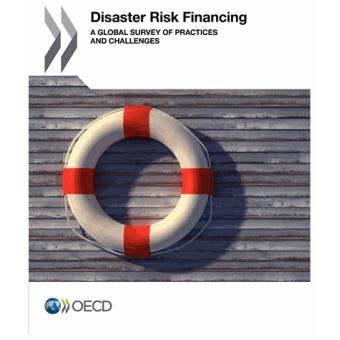 Disaster risk financing A global survey of practices and challenges ...