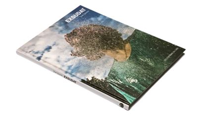 Exsudat - relié - Jean Janssis - Achat Livre | fnac