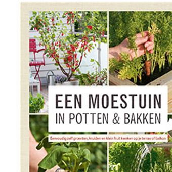Een moestuin in potten & bakken eenvoudig zelf groenten, kruiden en ...