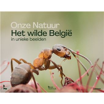 Onze Natuur - Het wilde België in unieke beelden - cartonné - Onze ...
