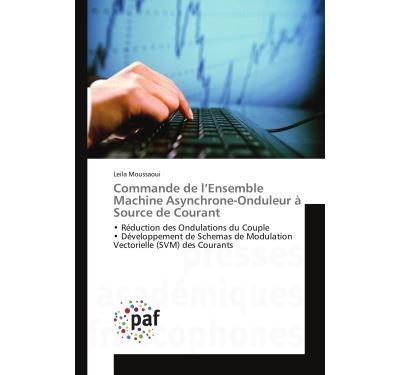Commande de l'ensemble Machine Asynchrone-Onduleur A Source de Courant ...