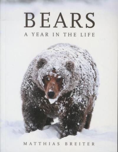 Bears - Poche - Matthias Breiter - Achat Livre | fnac
