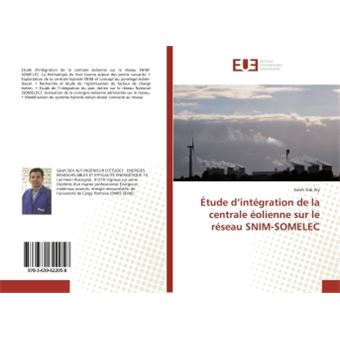 Étude d'intégration de la centrale éolienne sur le réseau SNIM-SOMELEC ...