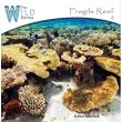 Fragile reef - Simon Lovelock - CD album - Achat & prix | fnac