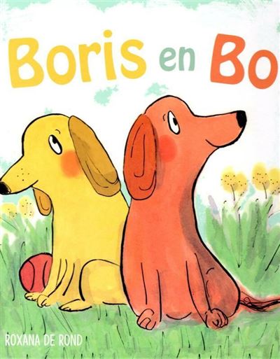 Boris en Bo - cartonné - Roxana de Rond, Ineke Ris - Achat Livre | fnac