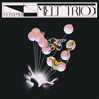 Consumer - Melt Trio - Vinyle album - Achat & prix | fnac