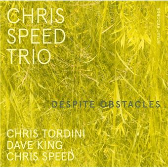 Despite Obstacles - Chris Speed Trio - CD album - Achat & prix | fnac
