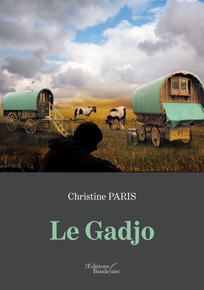 Le Gadjo - broché - Madame Christine PARIS - Achat Livre | fnac