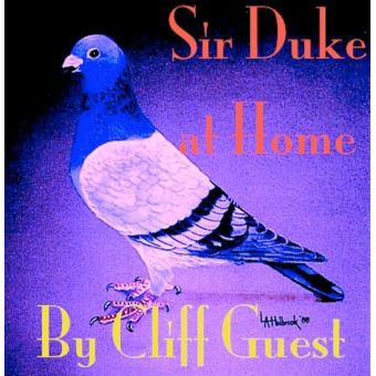Sir Duke Pigeon Series - Sir Duke Pigeon Series - Sir Duke at Home ...