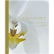 L'Invisible - broché - Marguerite Bauer Benidir, Dalmer Jiron Deza ...