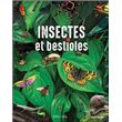 Insectes et bestioles - cartonné - Kevin Duclos - Achat Livre | fnac