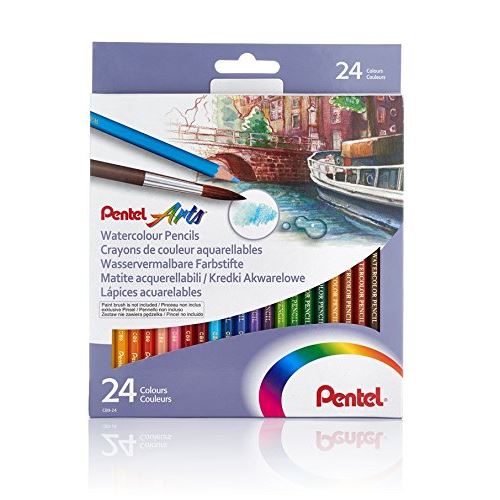 Boite de 24 crayons de couleur aquarellables Pentel Arts - Crayon de ...
