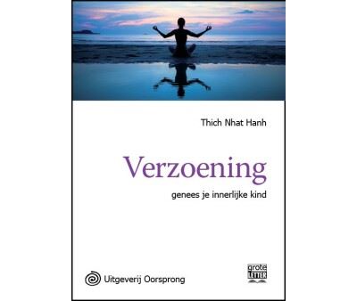 Verzoening - grote letter uitgave - broché - Thich Nhat Hnah - Achat ...