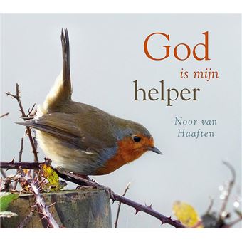 God is mijn helper - cartonné - Haaften Noor Van, A. te Rietstap ...