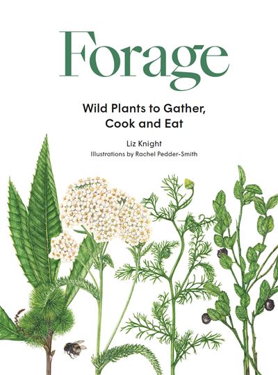 FORAGE - cartonné - Liz Knight, Rachel Pedder-Smith - Achat Livre | fnac