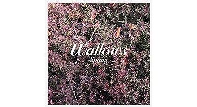 Spring Edition Collector Vinyle coloré - Wallows - Vinyle album - Achat ...